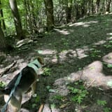 Red Rocks Park Loop, Vermont - 1,933 Reviews, Map | AllTrails