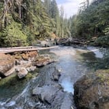 Staircase Rapids Loop, Washington - 2,994 Reviews, Map | AllTrails