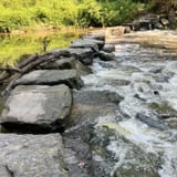 Difficult Run Trail, Virginia - 739 Reviews, Map | AllTrails