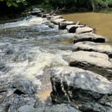 Difficult Run Trail, Virginia - 739 Reviews, Map | AllTrails