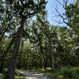 Hawk Ridge Trail, Missouri - 3,086 Reviews, Map | AllTrails