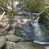 Fall Branch Falls Trail, Georgia - 1,377 Reviews, Map | AllTrails