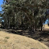 Middle Valley and South Valley Trail, California - 109 Reviews, Map ...