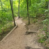 Tanyard Perimeter Loop, Arkansas - 3,137 Reviews, Map | AllTrails