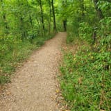 Tanyard Perimeter Loop, Arkansas - 3,137 Reviews, Map | AllTrails