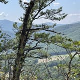 Seneca Rocks Trail, West Virginia - 3,197 Reviews, Map | AllTrails