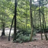 Meadow Run Trail, Pennsylvania - 1,320 Reviews, Map | AllTrails