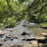Meadow Run Trail, Pennsylvania - 1,320 Reviews, Map | AllTrails