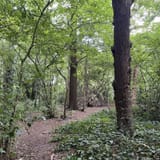 Capital Ring Walk Section 1: Woolwich Foot Tunnel to Falconwood, London ...