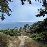Point Lobos Loop, California - 8,892 Reviews, Map | AllTrails