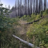 Memaloose and Clackamas Falls, Oregon - 556 Reviews, Map | AllTrails