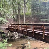 The Manistee River Loop Trail, Michigan - 2,081 Reviews, Map | AllTrails