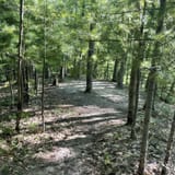 The Manistee River Loop Trail, Michigan - 2,081 Reviews, Map | AllTrails