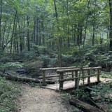 Nine Penny Branch Loop, Indiana - 623 Reviews, Map | AllTrails
