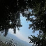 Abby Grind, British Columbia, Canada - 2,337 Reviews, Map | AllTrails