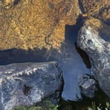 Lower Gaylor Lake Trail, California - 89 Reviews, Map | AllTrails