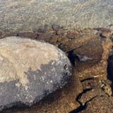 Lower Gaylor Lake Trail, California - 88 Reviews, Map | AllTrails