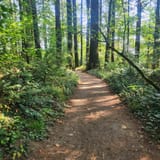 Washington Park Loop, Oregon - 1,958 Reviews, Map | AllTrails