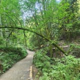 Washington Park Loop, Oregon - 1,958 Reviews, Map | AllTrails
