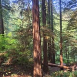 Washington Park Loop, Oregon - 1,958 Reviews, Map | AllTrails