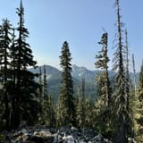 Johnson Ridge Trail, Washington - 291 Reviews, Map | AllTrails
