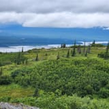 Curry Ridge Trail, Alaska - 1,129 Reviews, Map | AllTrails