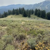 Mores Mountain Loop, Idaho - 533 Reviews, Map | AllTrails