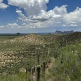 Valley View Overlook Trail, Arizona - 1,442 Reviews, Map | AllTrails