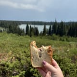 String Lake Trail, Wyoming - 2,470 Reviews, Map | AllTrails