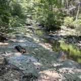 Dog Slaughter Falls Trail, Kentucky - 1,700 Reviews, Map | AllTrails