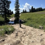 Rabbit Ears Peak Trail, Colorado - 1,946 Reviews, Map | AllTrails
