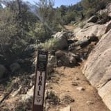 Pine Tree Trail, New Mexico - 2,246 Reviews, Map | AllTrails