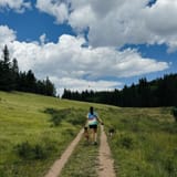 Raspberry Mountain Trail via Ring the Peak Trail, Colorado - 2,078 ...