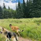 Raspberry Mountain Trail via Ring the Peak Trail, Colorado - 2,078 ...