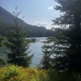Gold Creek Pond Loop, Washington - 2,726 Reviews, Map | AllTrails