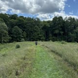 Sprague Brook Park Trail, New York - 1,407 Reviews, Map | AllTrails