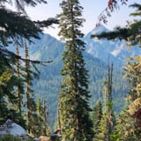 Johnson Ridge Trail, Washington - 291 Reviews, Map | AllTrails