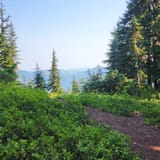 Johnson Ridge Trail, Washington - 291 Reviews, Map | AllTrails