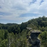 Window Cliffs Trail, Tennessee - 1,563 Reviews, Map | AllTrails