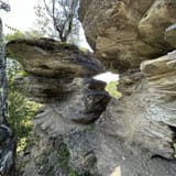 Window Cliffs Trail, Tennessee - 1,563 Reviews, Map | AllTrails