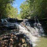 Window Cliffs Trail, Tennessee - 1,563 Reviews, Map | AllTrails