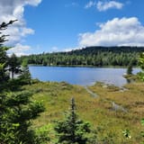 Crane Mountain Loop Hike, New York - 1,396 Reviews, Map | AllTrails