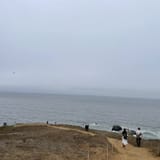 Mori Point Loop Trail, California - 5,346 Reviews, Map | AllTrails