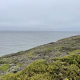 Mori Point Loop Trail, California - 5,346 Reviews, Map | AllTrails