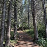 Blackshale Suspension Bridge, Alberta, Canada - 1,088 Reviews, Map ...