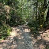 Cable Line Trail to West Tiger #3, Washington - 2,496 Reviews, Map ...