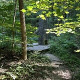Mossy Ridge Trail Loop, Tennessee - 1,060 Reviews, Map | AllTrails