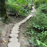 Puyallup Loop Trail, Washington - 1,414 Reviews, Map | AllTrails