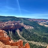 Twisted Forest, Utah - 158 Reviews, Map | AllTrails