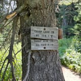 Thorp Lake via Thorp Creek Trail, Washington - 171 Reviews, Map | AllTrails